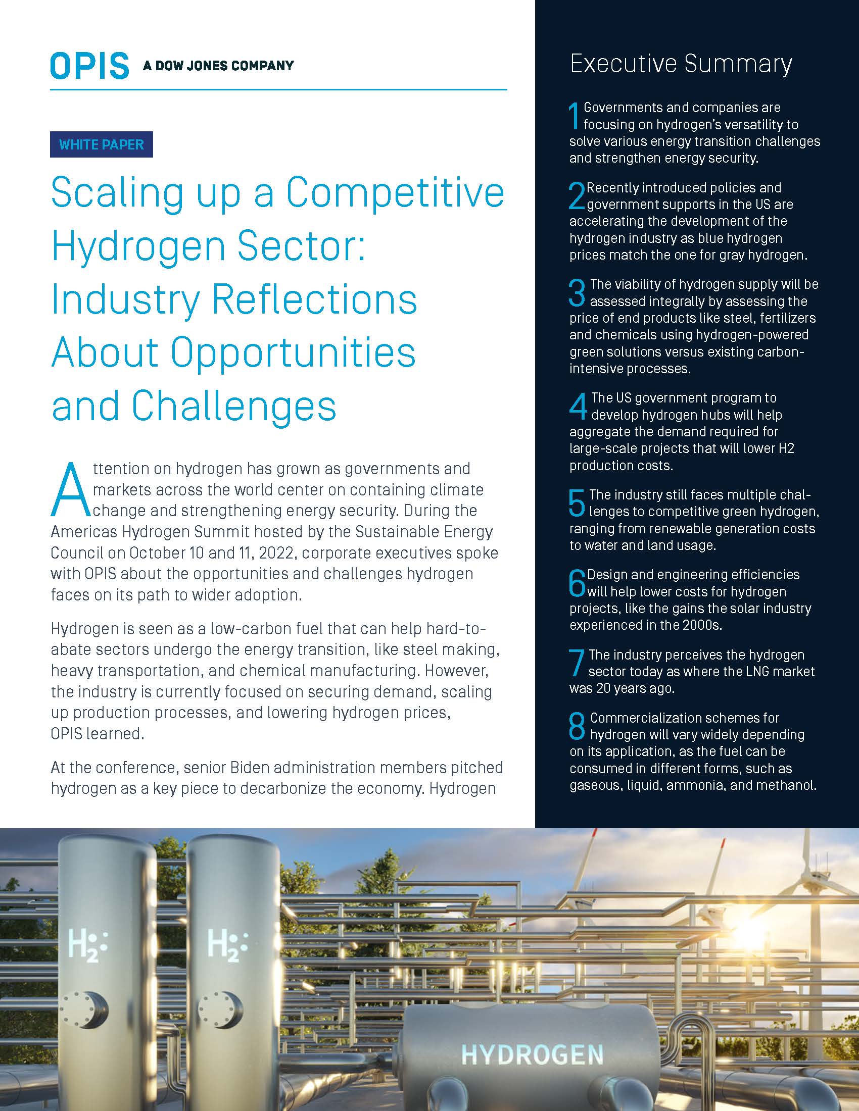 Scaling up a Competitive Hydrogen Sector - Download White Paper